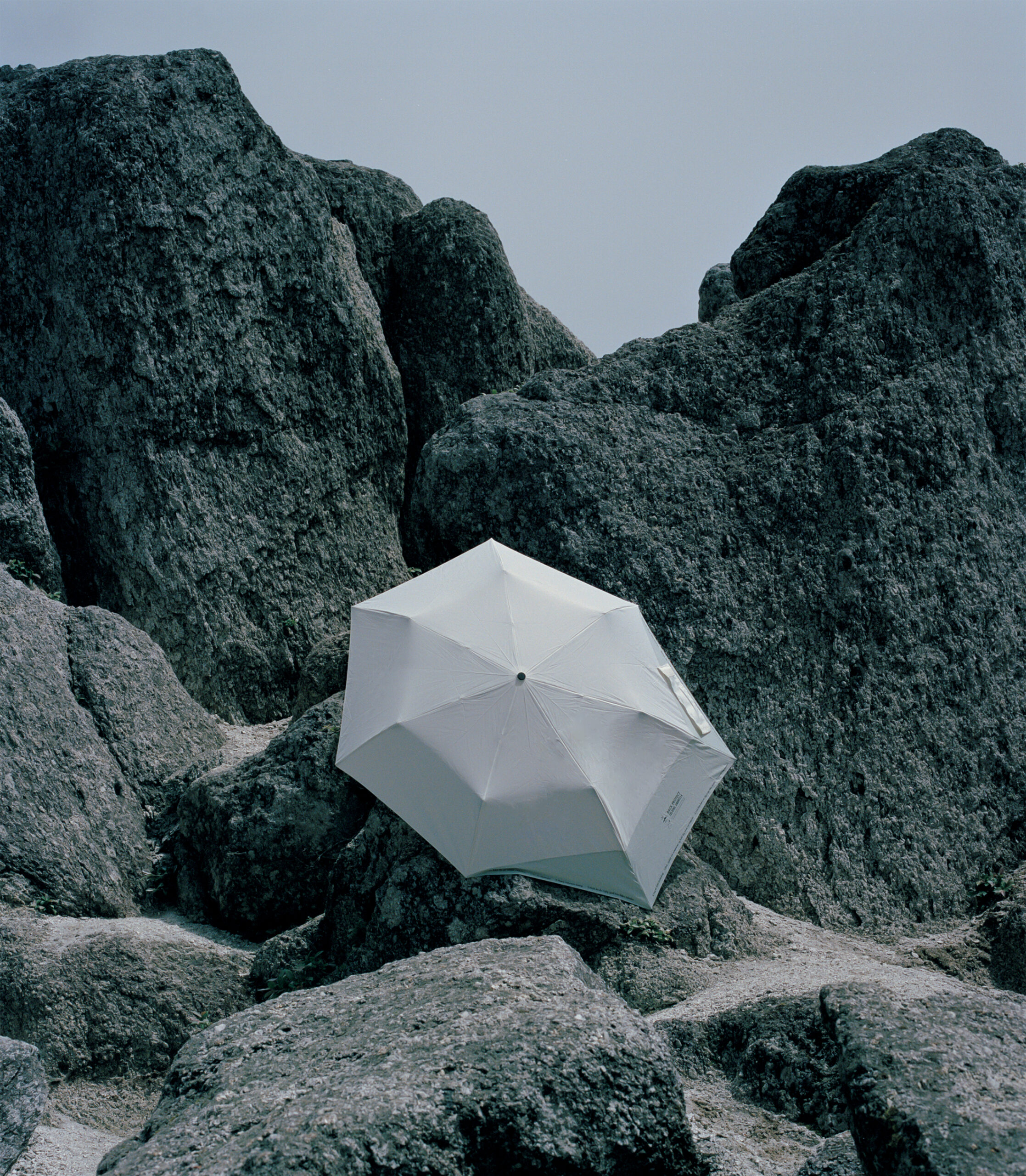 ALIGN 2021AW LOOK | o-flat inc.